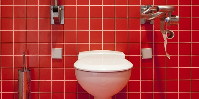 Combien et quel type de wc installer dans une maison